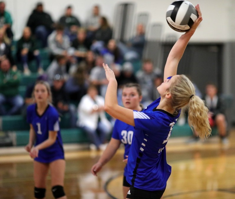 Beallsville swept by Shenandoah | News, Sports, Jobs - The Times Leader